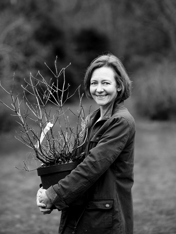 Profile - Fiona Harrison Design