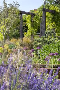 Cherry Barn - Fiona Harrison Design
